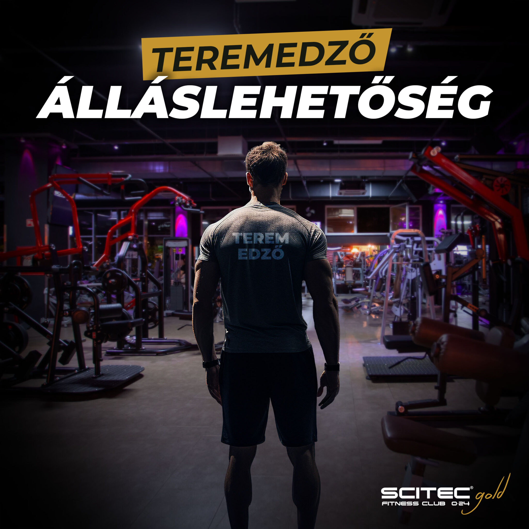 Dolgozz velünk – Scitec Gold Fitness Club 0-24 | Budapest | Lurdy-ház